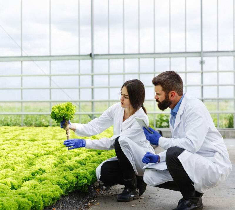 ITC Labs: Your Trusted Partner For Analytical Testing & Certification