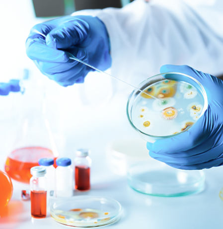 Advanced Analytical Testing Services | ITC Labs